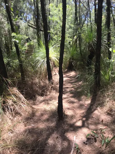 Best Hikes and Trails in Byfield National Park | AllTrails