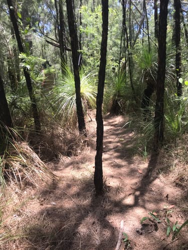 Best Hikes and Trails in Byfield National Park | AllTrails