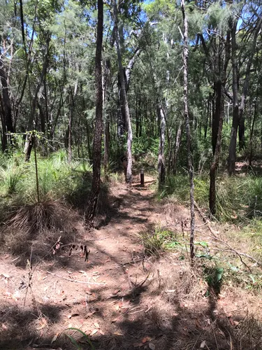 Best Hikes and Trails in Byfield National Park | AllTrails