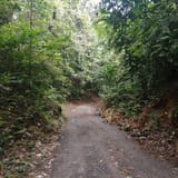 Bukit Mertajam Viewing Point via Cherok Tokun, Penang, Malaysia - 352 ...