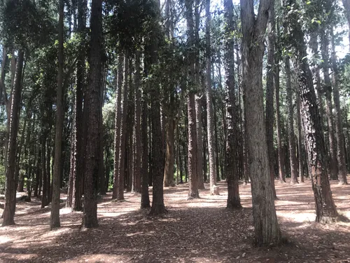 10 Best Hikes and Trails in Jilliby State Conservation Area | AllTrails