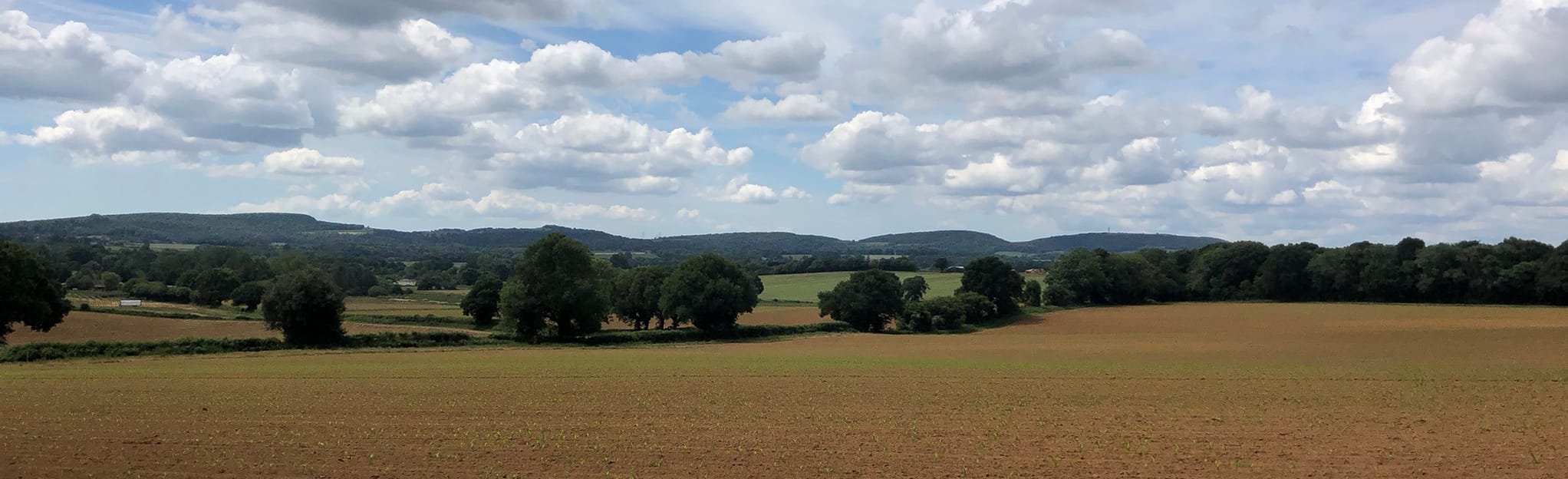 Durford Wood and Rogate, Hampshire, England - 82 Reviews, Map | AllTrails