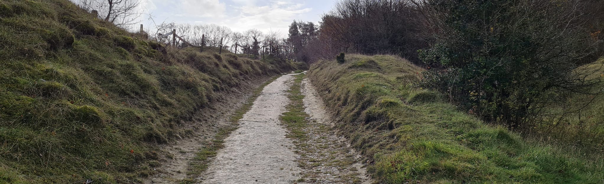 Tidpit Down Circular | Map, Guide - Hampshire, England | AllTrails