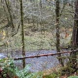 Four County Point Trail, Oregon - 116 Reviews, Map | AllTrails