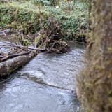 Four County Point Trail, Oregon - 116 Reviews, Map | AllTrails