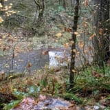 Four County Point Trail, Oregon - 116 Reviews, Map | AllTrails