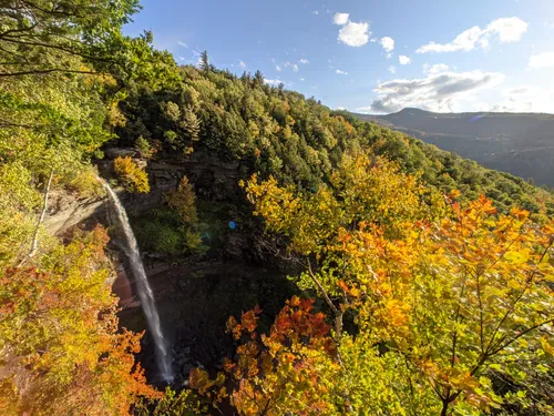 10 Best Hikes and Trails in Kaaterskill Wild Forest | AllTrails