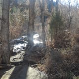 Castor Cut-Off Trail, Colorado - 251 Reviews, Map | AllTrails