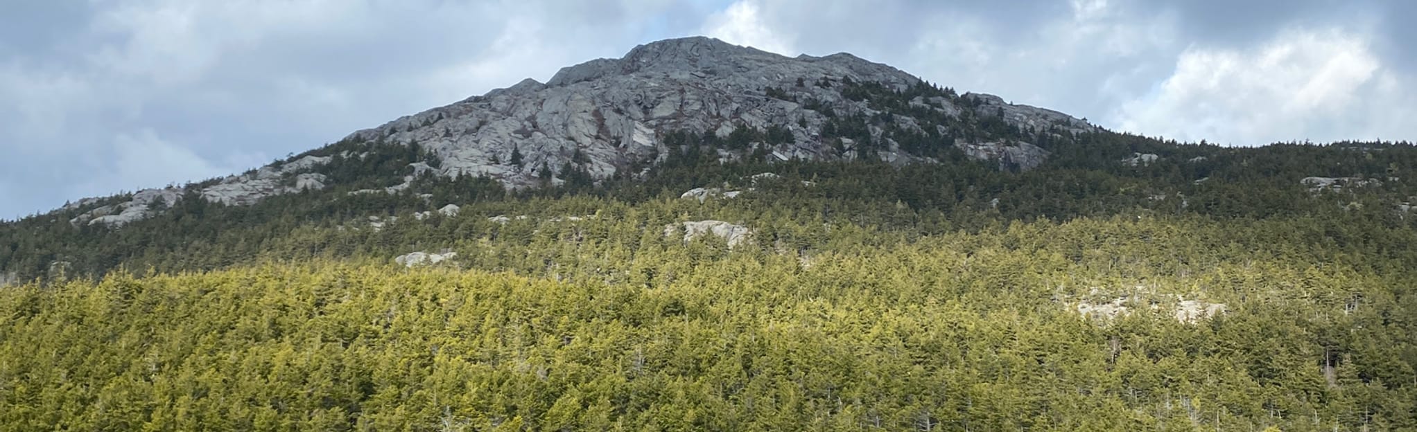 AllTrails | Old Halfway House, Thoreau, Cliff Walk, and White Arrow ...