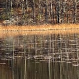 Falling Waters Trail, Michigan - 171 Reviews, Map | AllTrails