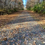 Falling Waters Trail, Michigan - 171 Reviews, Map | AllTrails