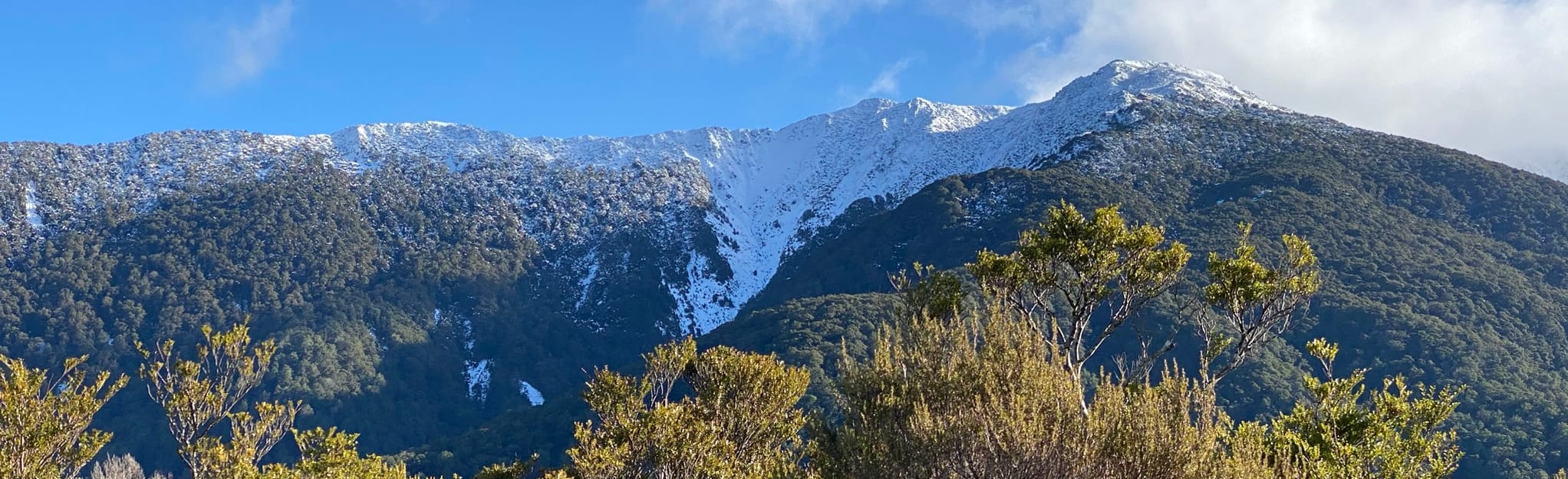Mount Holdsworth Jumbo Circuit - Wellington, New Zealand | AllTrails