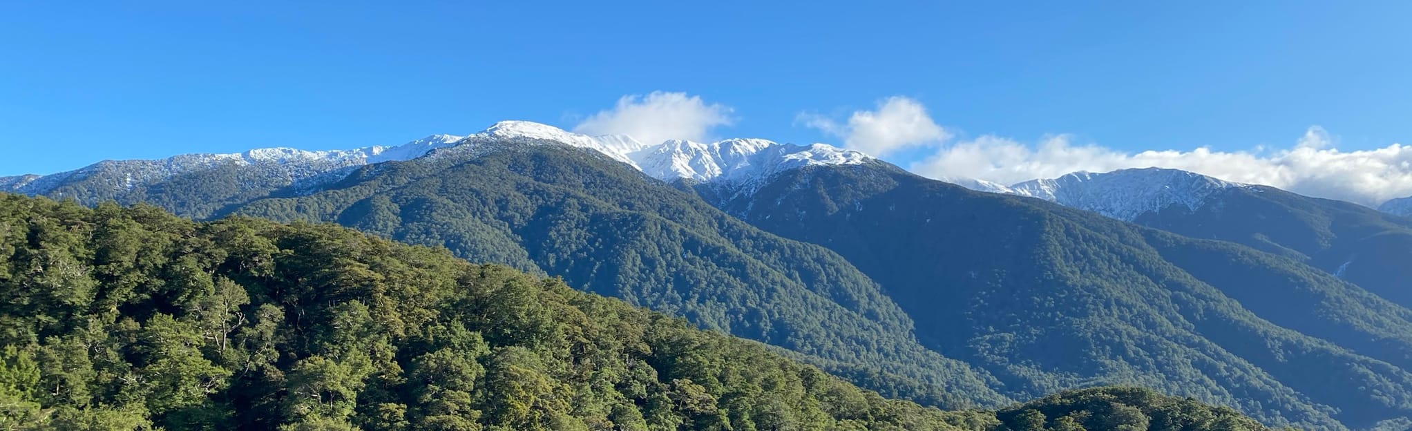 Totara Flats Hut via Totara Creek and Gentle Annie Track: 63 foto's ...