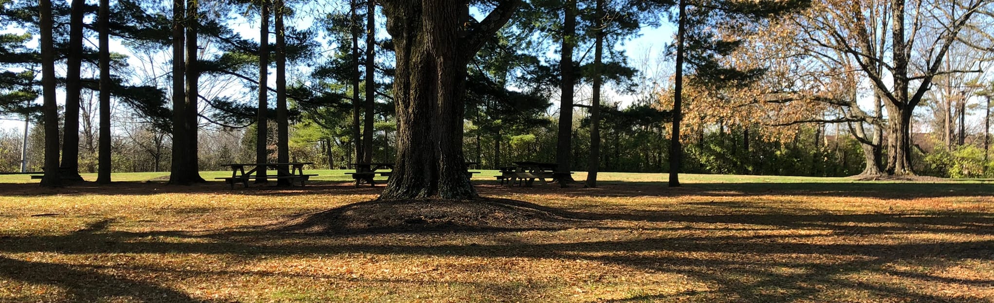 Cold Spring Municipal Park Trail, Kentucky - 53 Reviews, Map | AllTrails