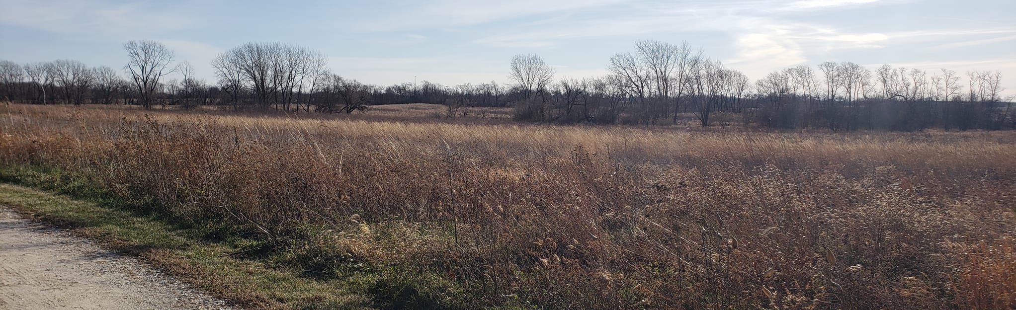 Spring Creek Greenway Trail, Illinois - 52 Reviews, Map | AllTrails