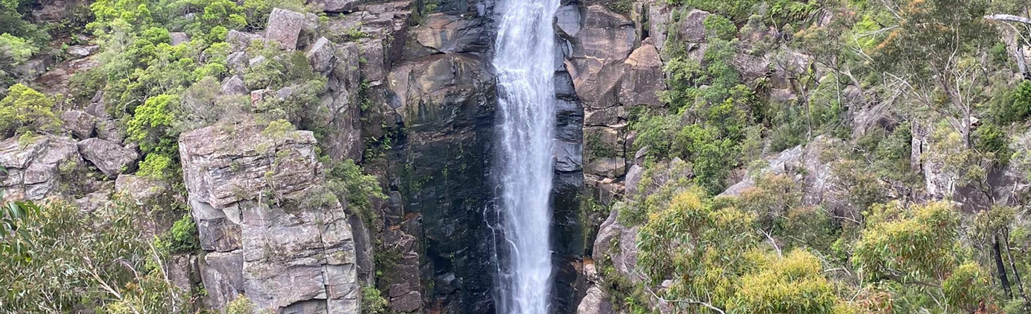Izzards Lookout and Lower Carrington Falls: 145 foto's - Nieuw-Zuid ...
