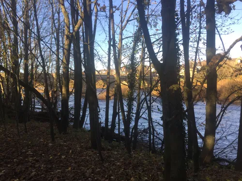 Best Walking Trails in Corbridge | AllTrails