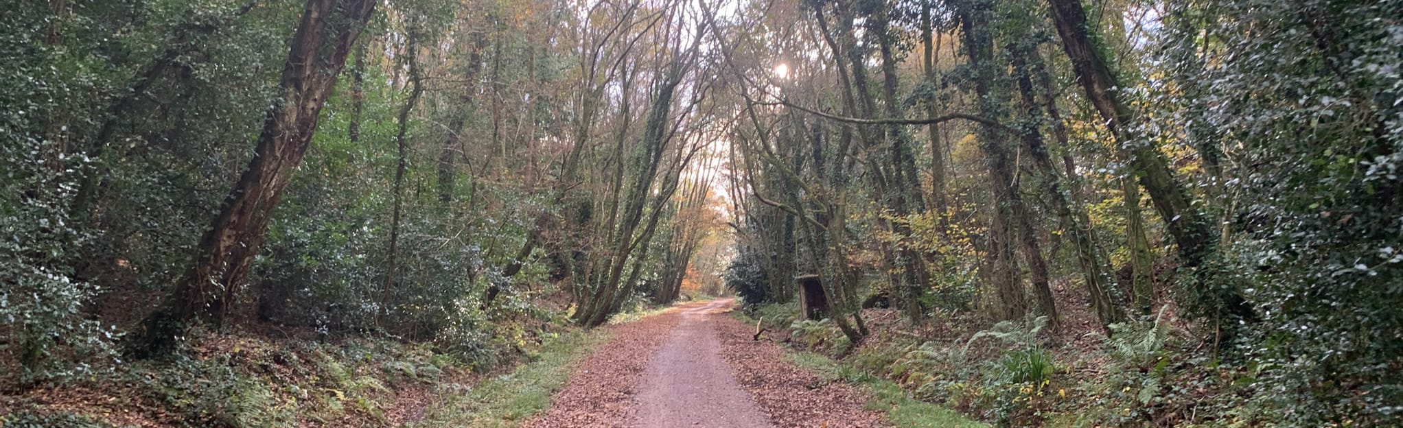 Old Roman Road Circular, Dorset, England - 105 Reviews, Map | AllTrails