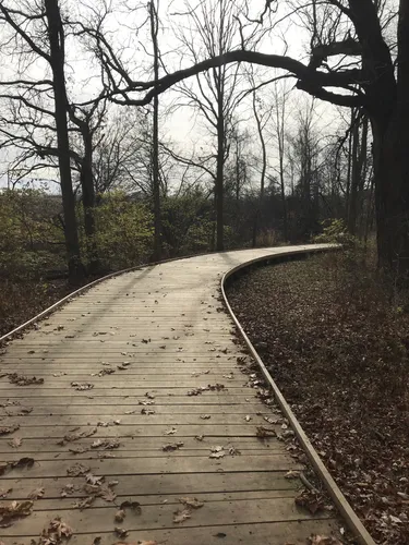 Best Hikes and Trails in Petros Lake Park | AllTrails