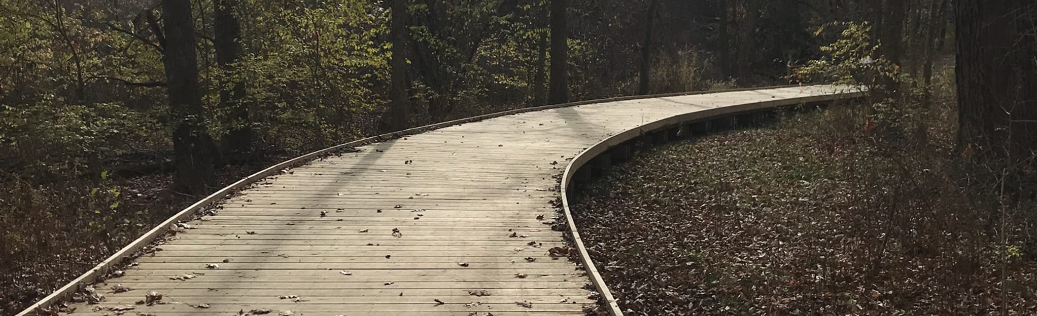 Petros Lake Full Loop, Ohio - 47 Reviews, Map | AllTrails