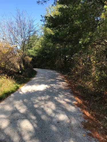 2023 Best 10 Trails and Hikes in Canton | AllTrails