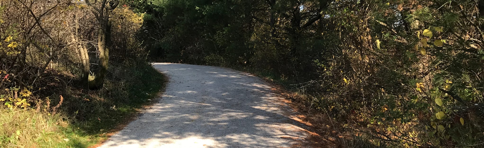 Petros Lake Short Loop: 20 foto's - Ohio | AllTrails