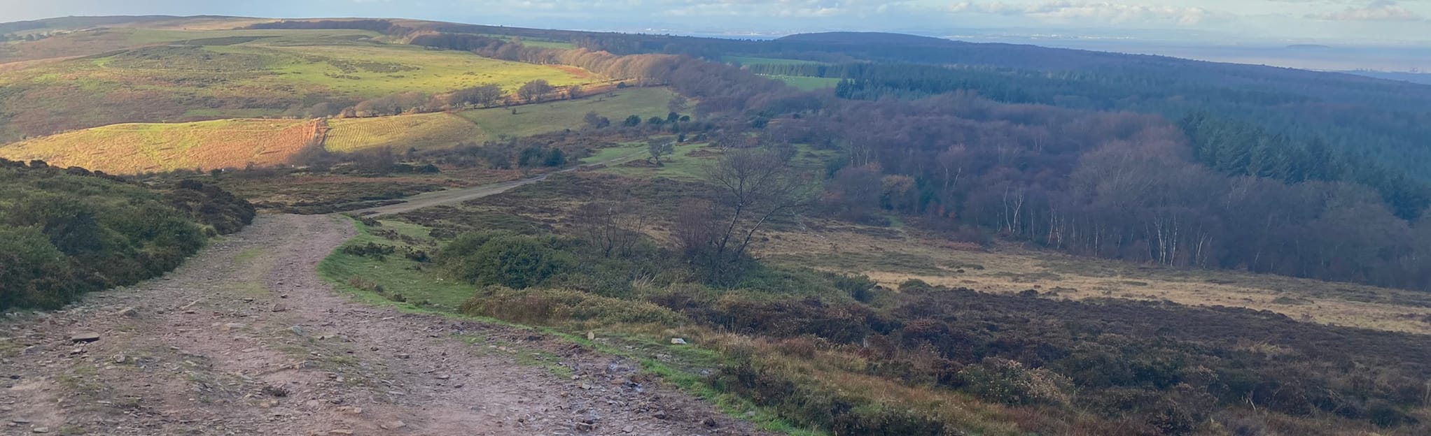 Wills Neck from Triscombe: 2 Reviews, Map - Somerset, England | AllTrails