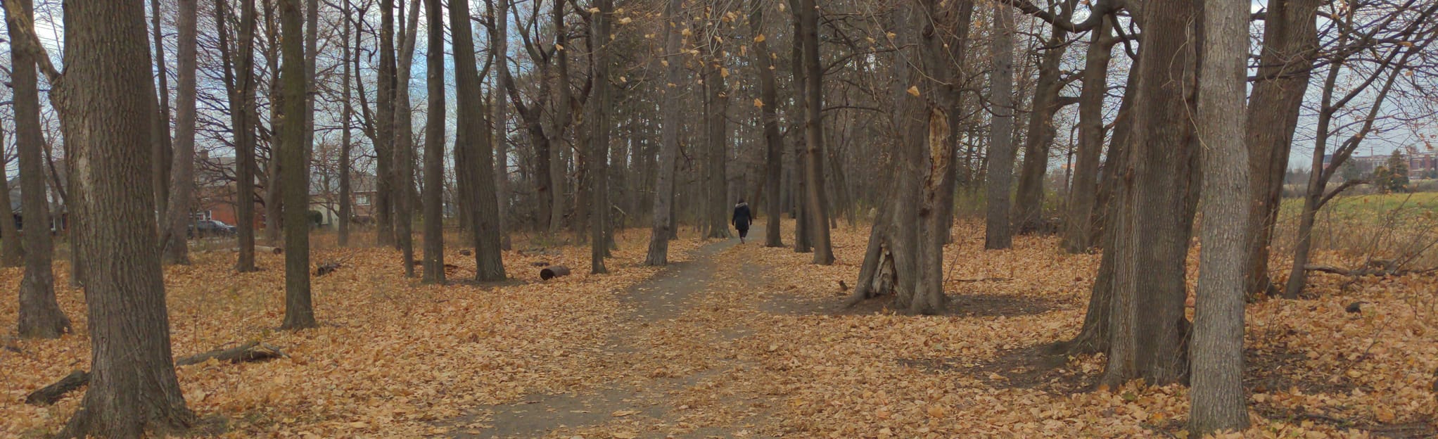 Experimental Farm Pathway: 85 Reviews, Map - Ontario, Canada | AllTrails