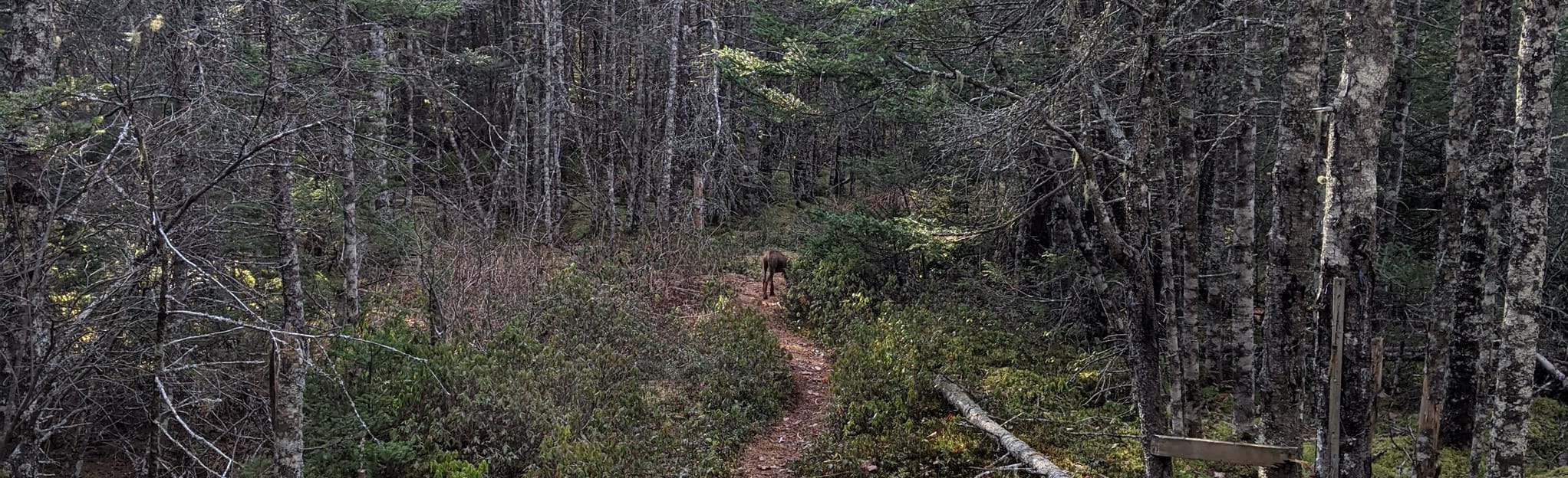 AllTrails | Back Lake Freshwater Marsh Trail: 19 Reviews, Map - Nova ...