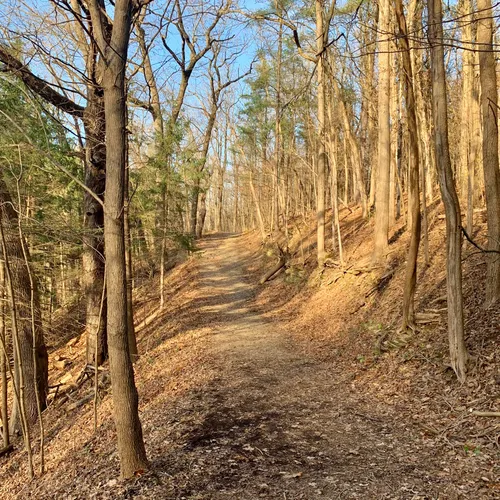 Best Hikes and Trails in Fogelsville Dam Forest | AllTrails