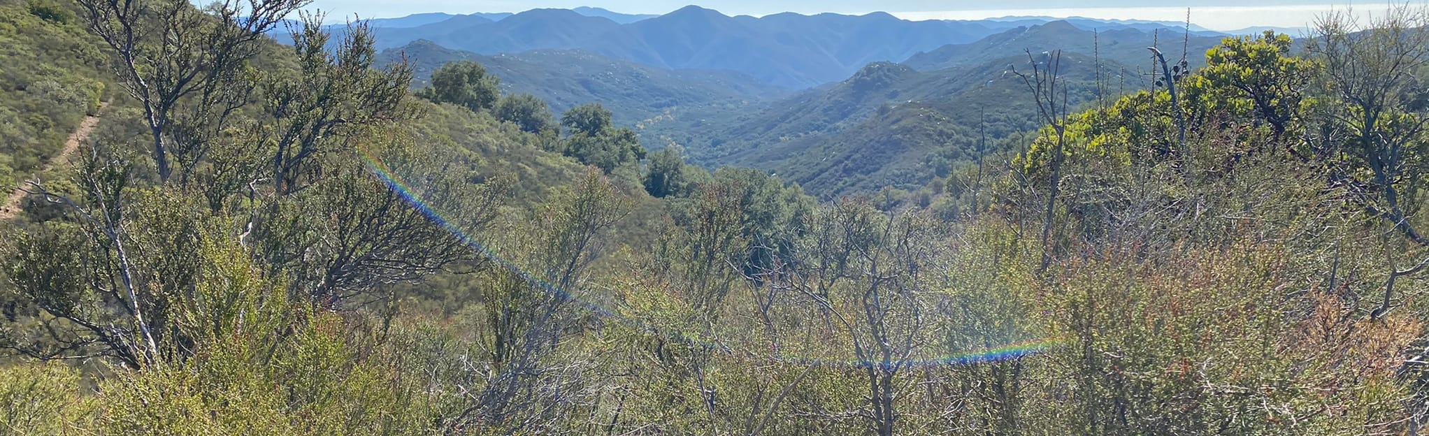 Falcon Trail, California - 52 Reviews, Map | AllTrails