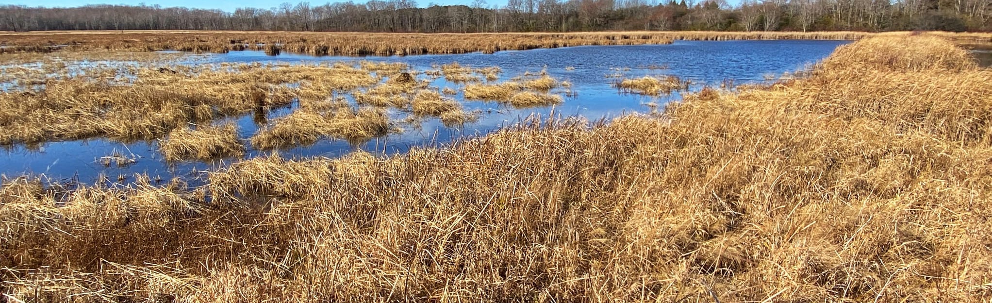 Beaver Meadow West Lookout Trail | Map, Guide - Ontario, Canada | AllTrails