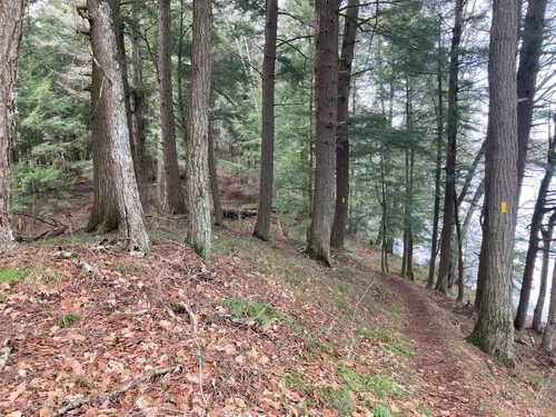 Best Hikes and Trails in Westboro | AllTrails