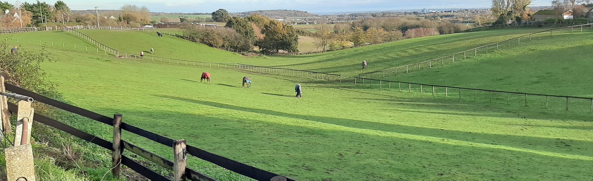 Higham - Charles Dickens Walk: 161 foto's - Kent, Engeland | Wandelen ...