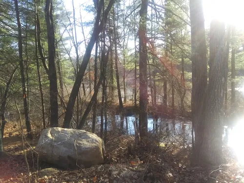 Best Hikes and Trails in Salem Town Forest | AllTrails