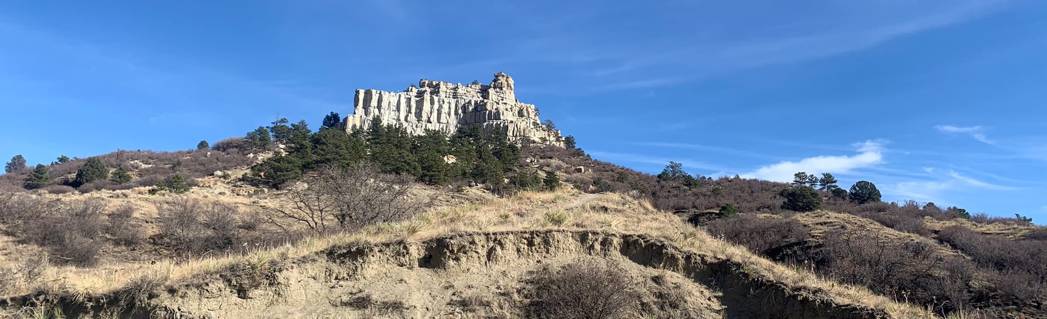 Pulpit Rock Peak Loop, Colorado - 1,000 Reviews, Map | AllTrails