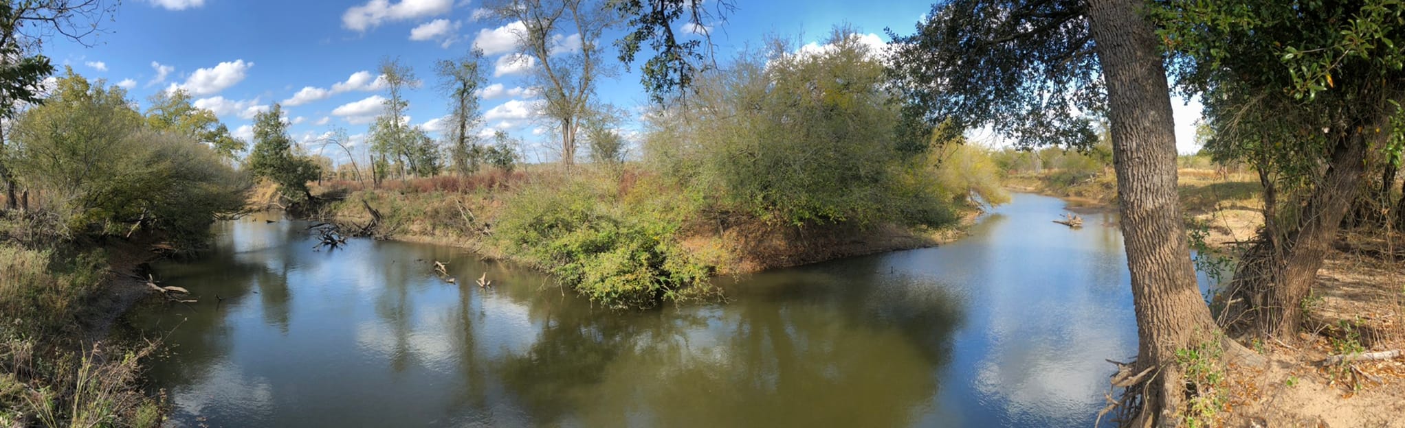 Lake Somerville Trailway and Flag Pond Loop: 13 Reviews, Map - Texas ...