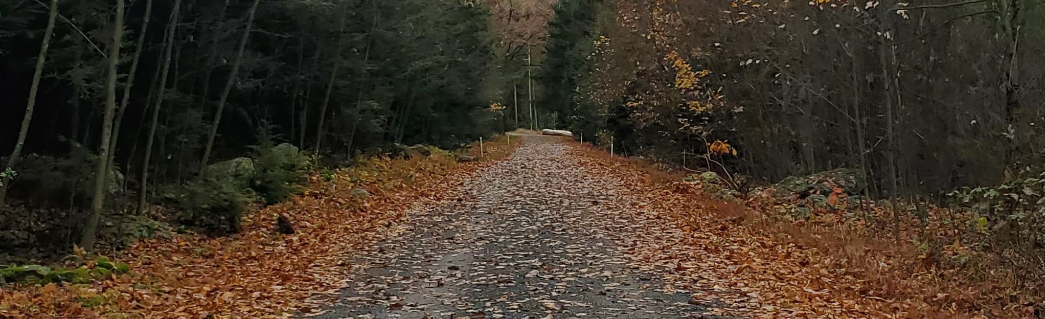 Roaring Creek and Kline Reservoir Trail Loop, Pennsylvania - 56 Reviews ...