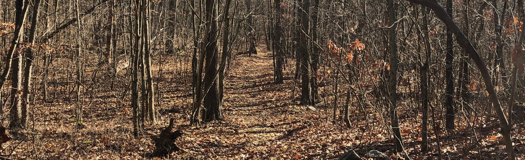 Shawangunk Ridge Trail: North from Hawthorne Lake: 75 Reviews, Map ...