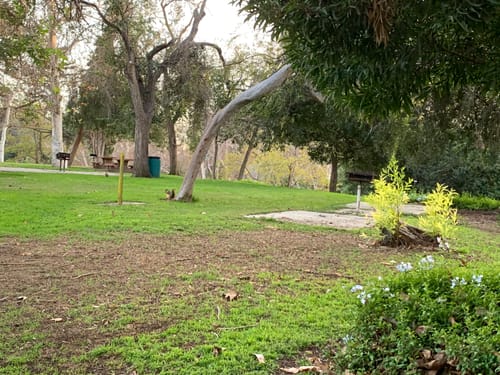 Best Hikes and Trails in Ladera Park | AllTrails