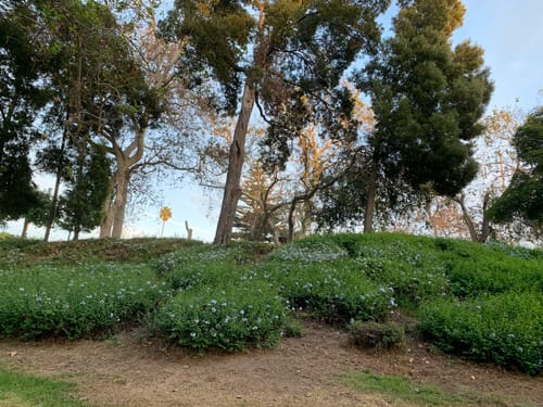 Best Hikes and Trails in Ladera Park | AllTrails