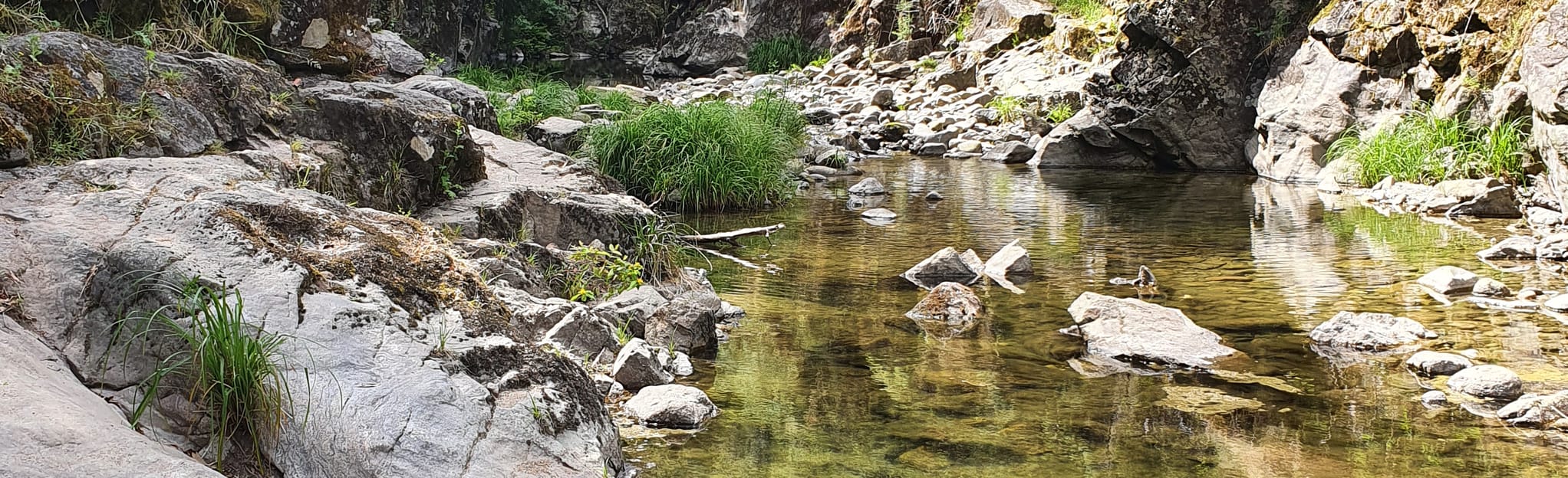 Mount Beauty Gorge, Victoria, Australia - 14 Reviews, Map | AllTrails