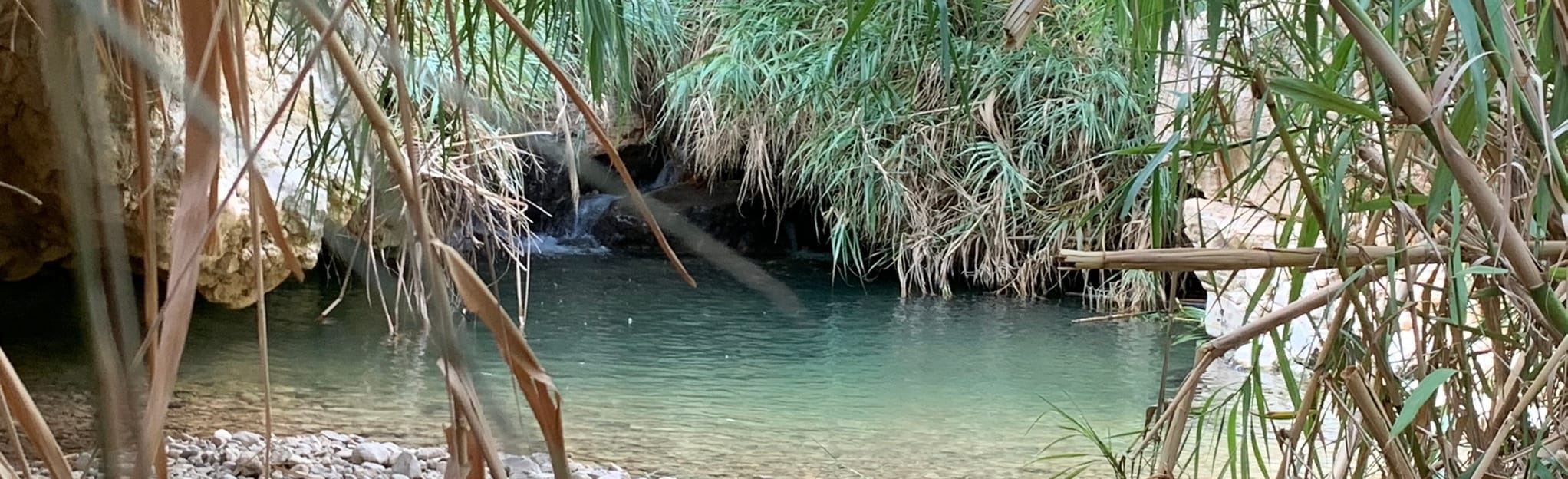 Ein Prat Reserve to Nahal Michmash: 66 Fotos - Jerusalem, Israel ...