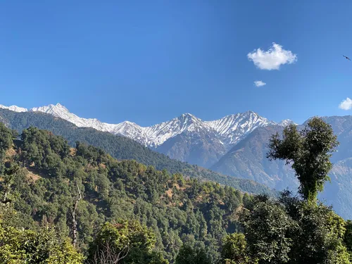 2023 Best 10 Forest Trails in Dhauladhar Wildlife Sanctuary | AllTrails