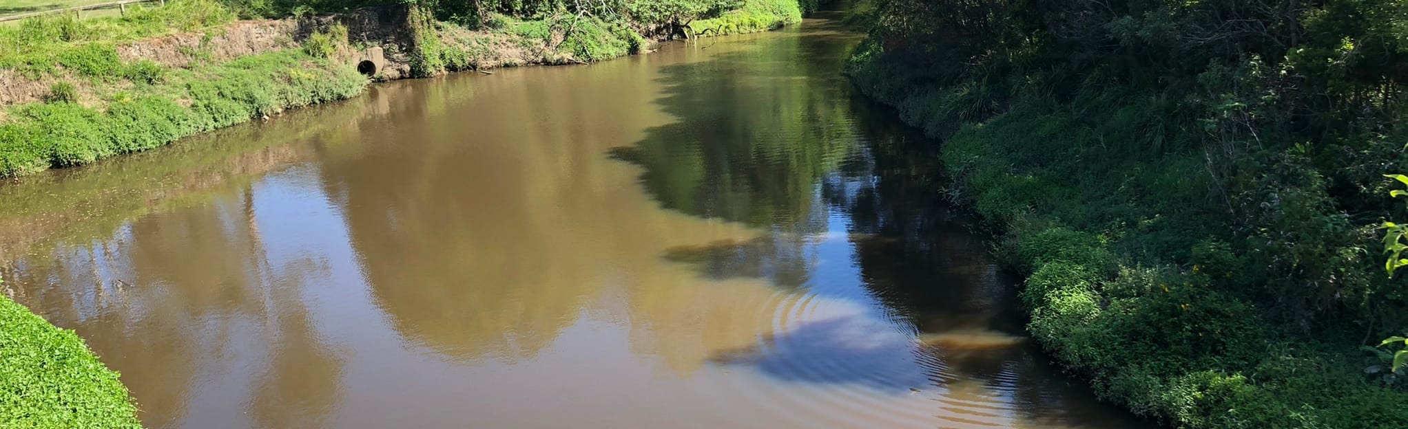 Warick Creek and Bulimba Creek Bikeway Circuit - Queensland, Australia ...