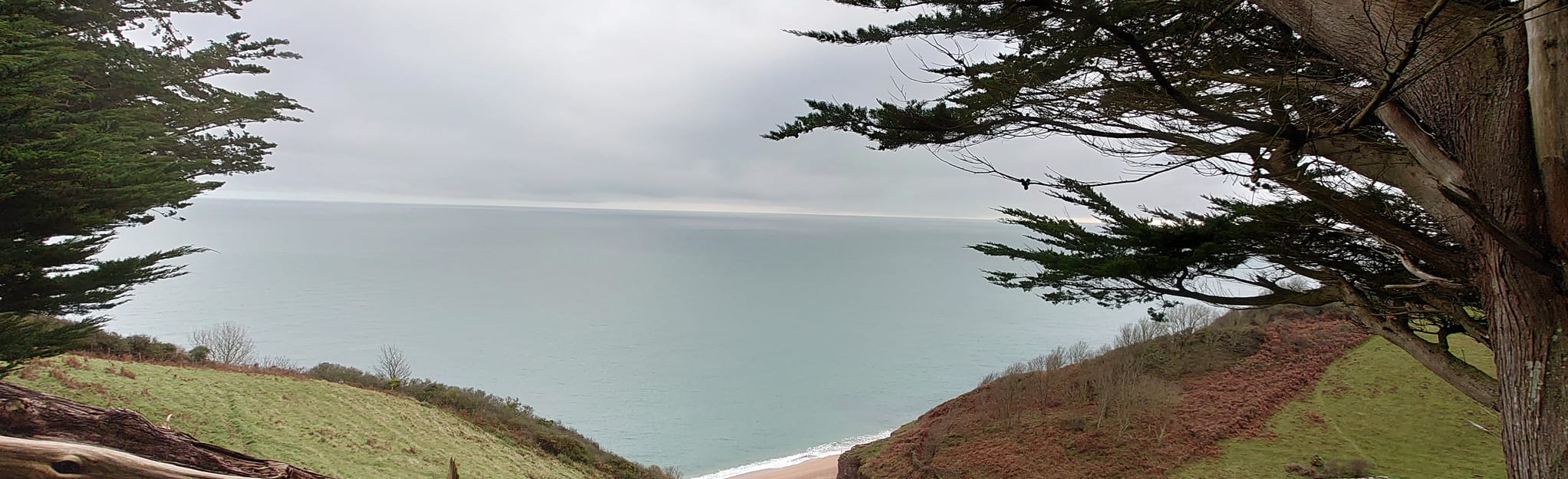 Strete Gate to Blackpool Sands: 39 Fotos - Devon, England | AllTrails