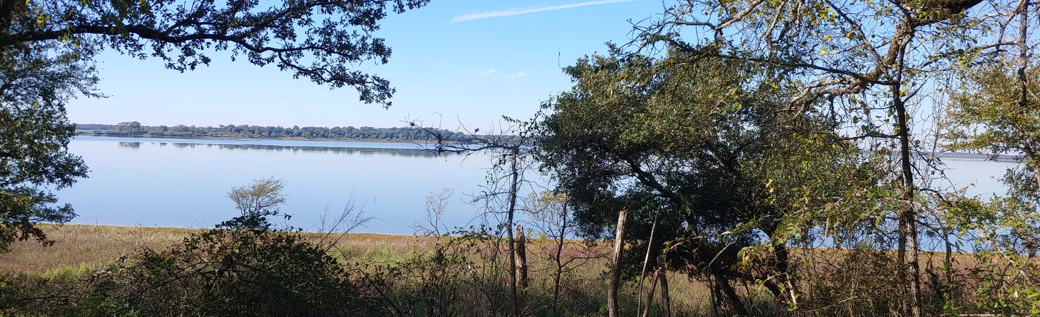 Lake Somerville Trailway, Texas - 38 Reviews, Map | AllTrails