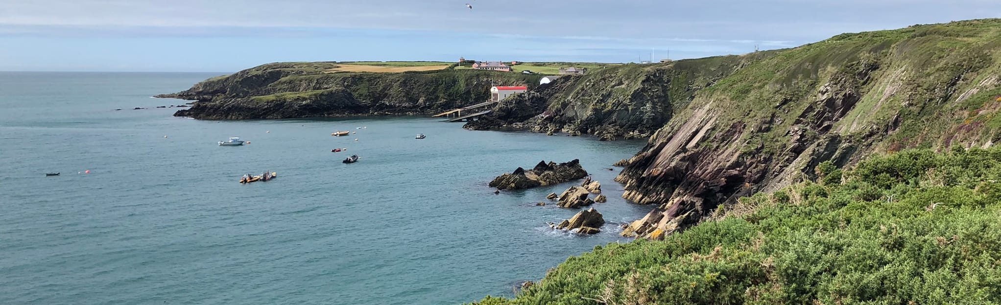 Pembrokeshire Coast Path: Solva to Whitesands Bay, Pembrokeshire, Wales ...