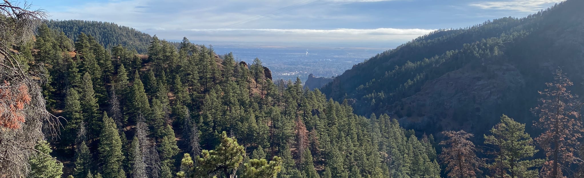 Upper Columbine Trail via Parking Lot 21, Colorado - 114 Reviews, Map ...