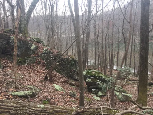 10 Best Lake Trails in Loch Raven Reservoir | AllTrails